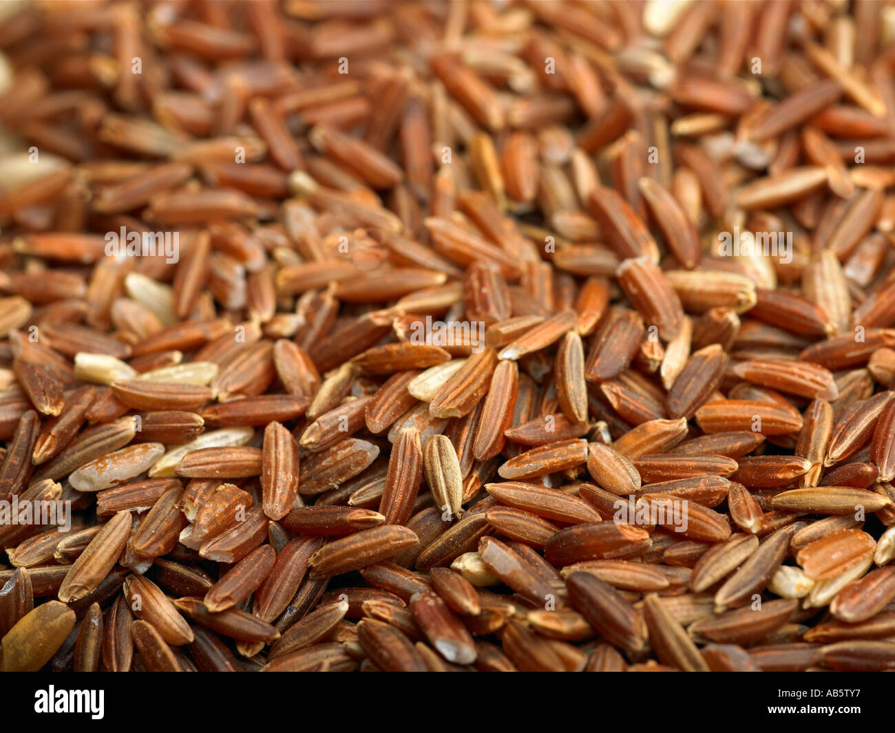 Camargue rice Riz Rouge Stock Photo - Alamy