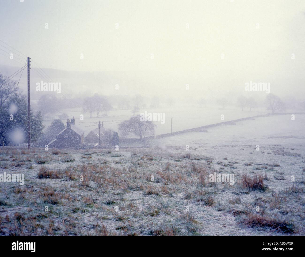 Snow storm; view over fields towards Falstone village from Yarrow ...