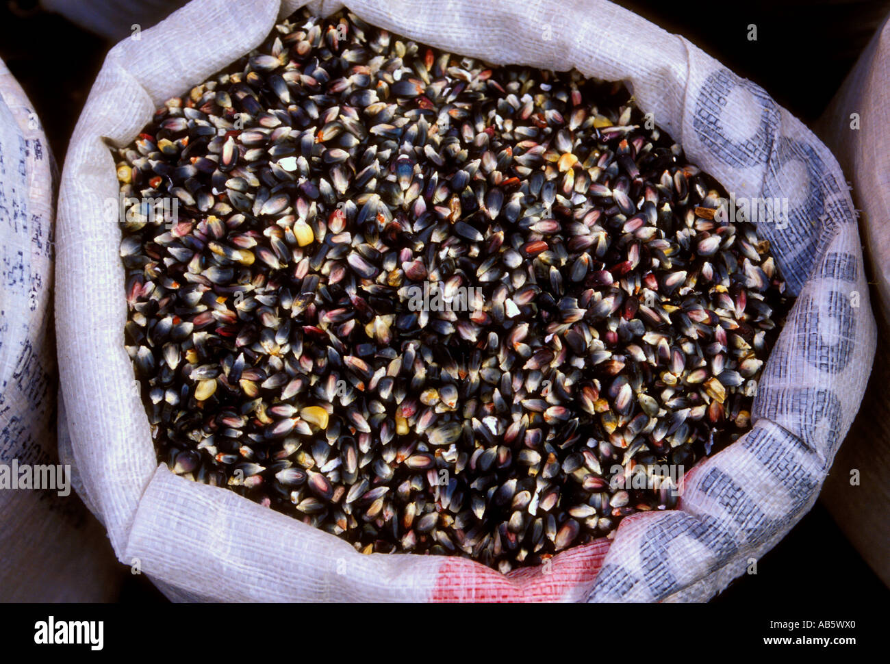 Mesoamerica maize hi-res stock photography and images - Alamy