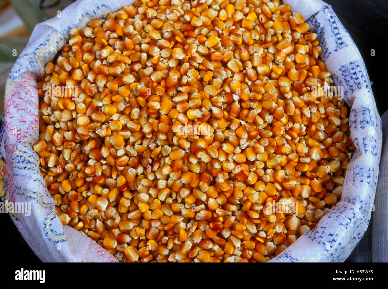 Mesoamerica maize hi-res stock photography and images - Alamy