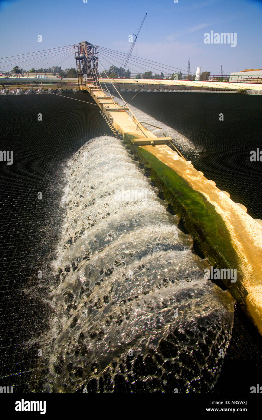 A rotary filter skims scum from the surface of waste water in a ...