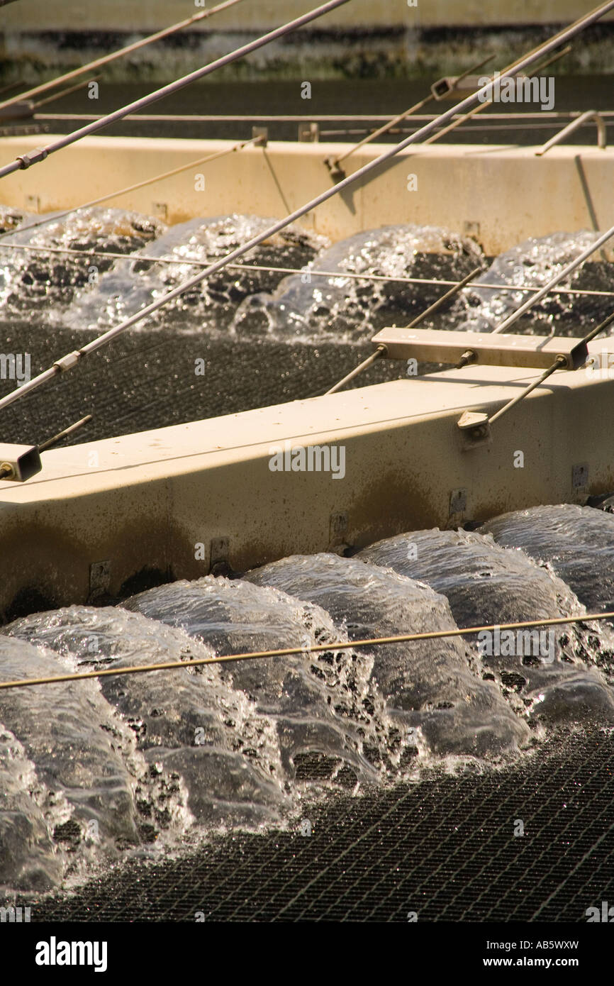 A rotary filter skims scum from the surface of waste water in a ...