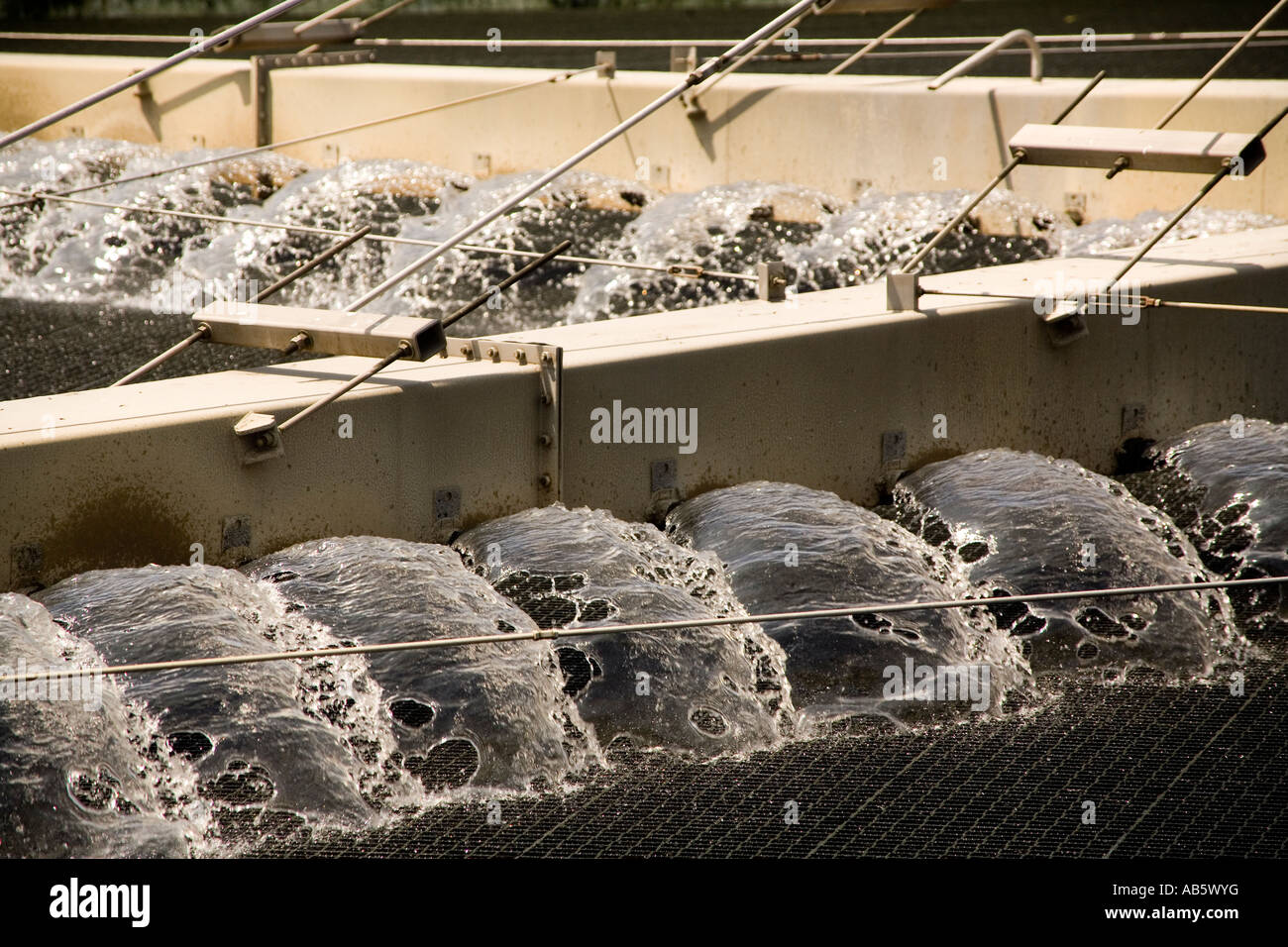 A rotary filter skims scum from the surface of waste water in a ...