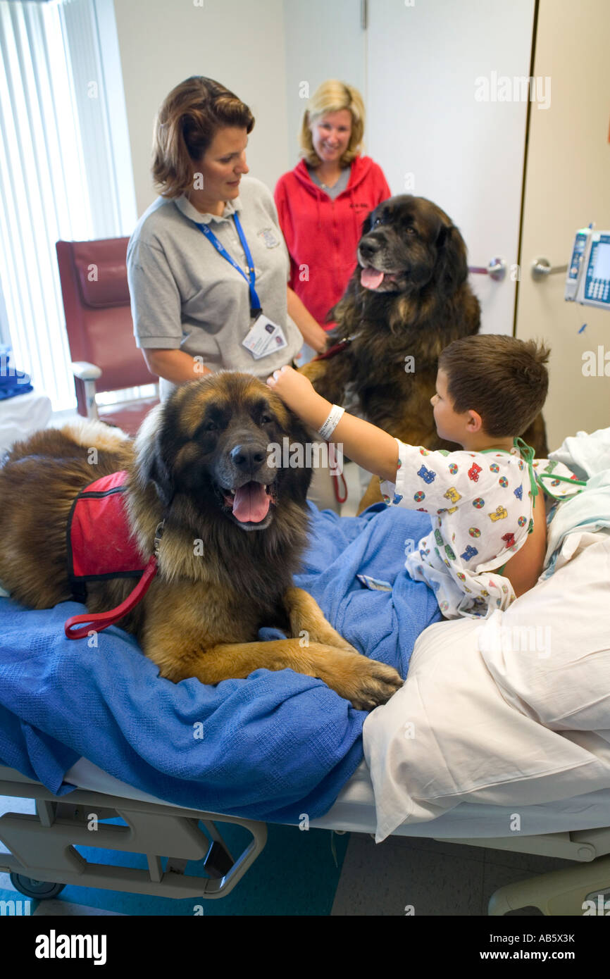 Children hospital therapy dogs hi-res stock photography and images - Alamy