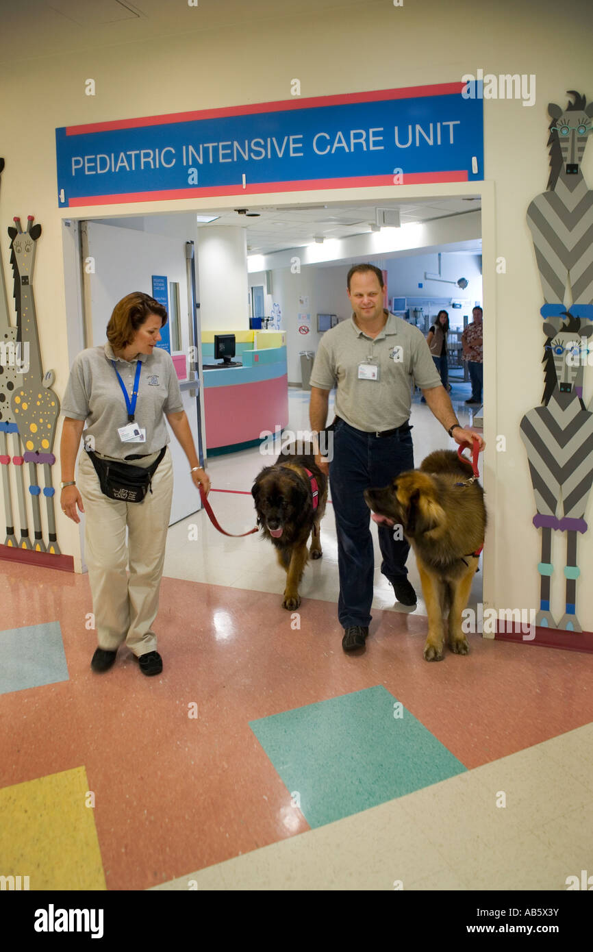 A husband and wife team of dog owner trainers bring their specially ...