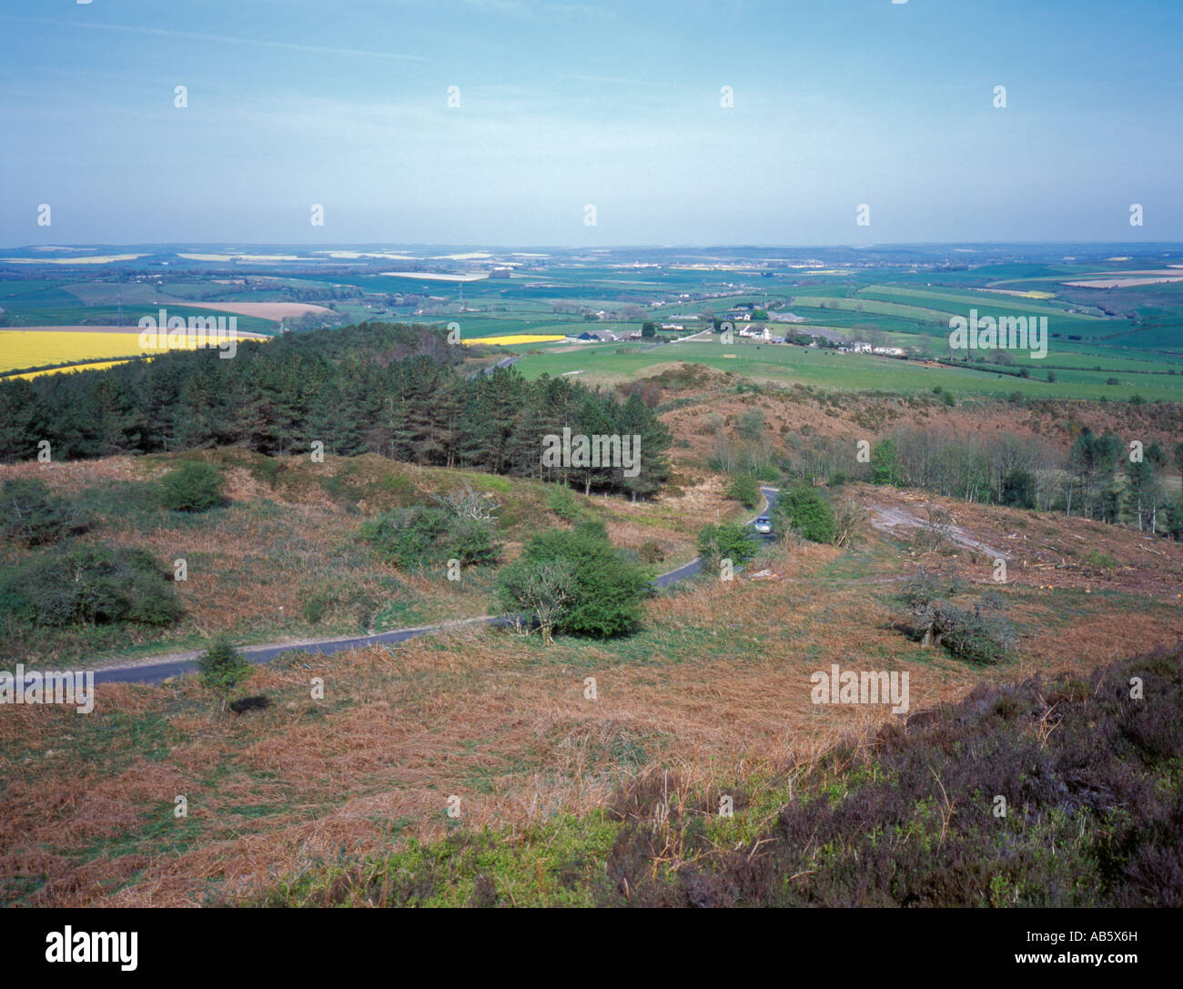 View east over farmland from Black Down, south of Winterbourne Abbas ...
