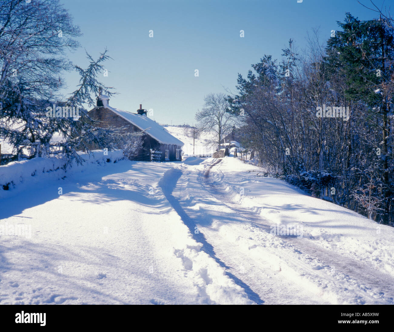 Snow covered lane and farmhouse, Yarrow, Falstone, Northumberland ...