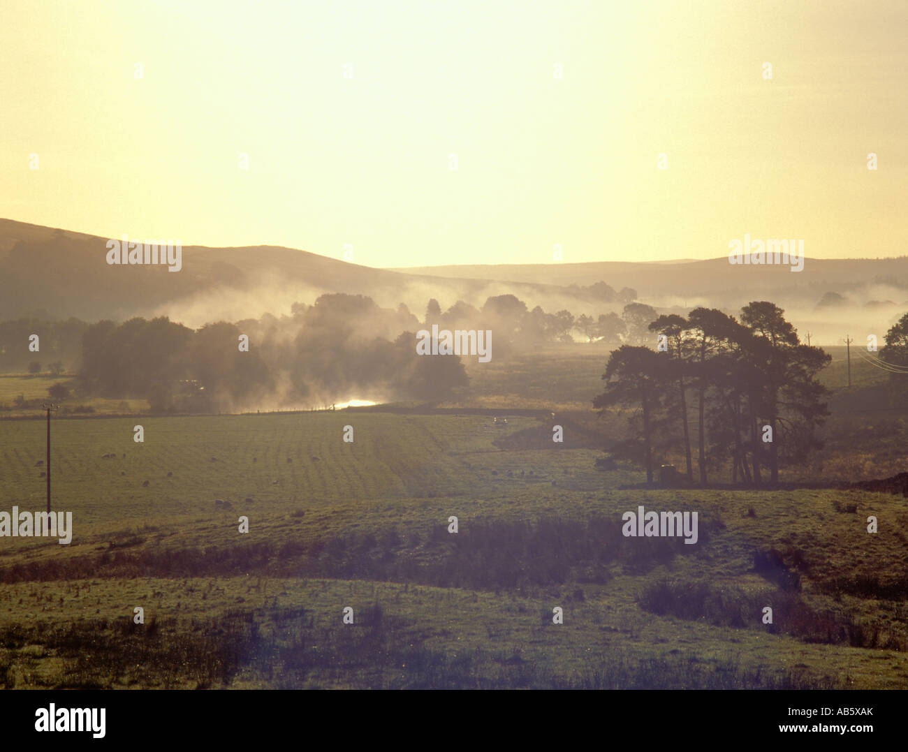 Early morning mist rising from River North Tyne, Falstone ...