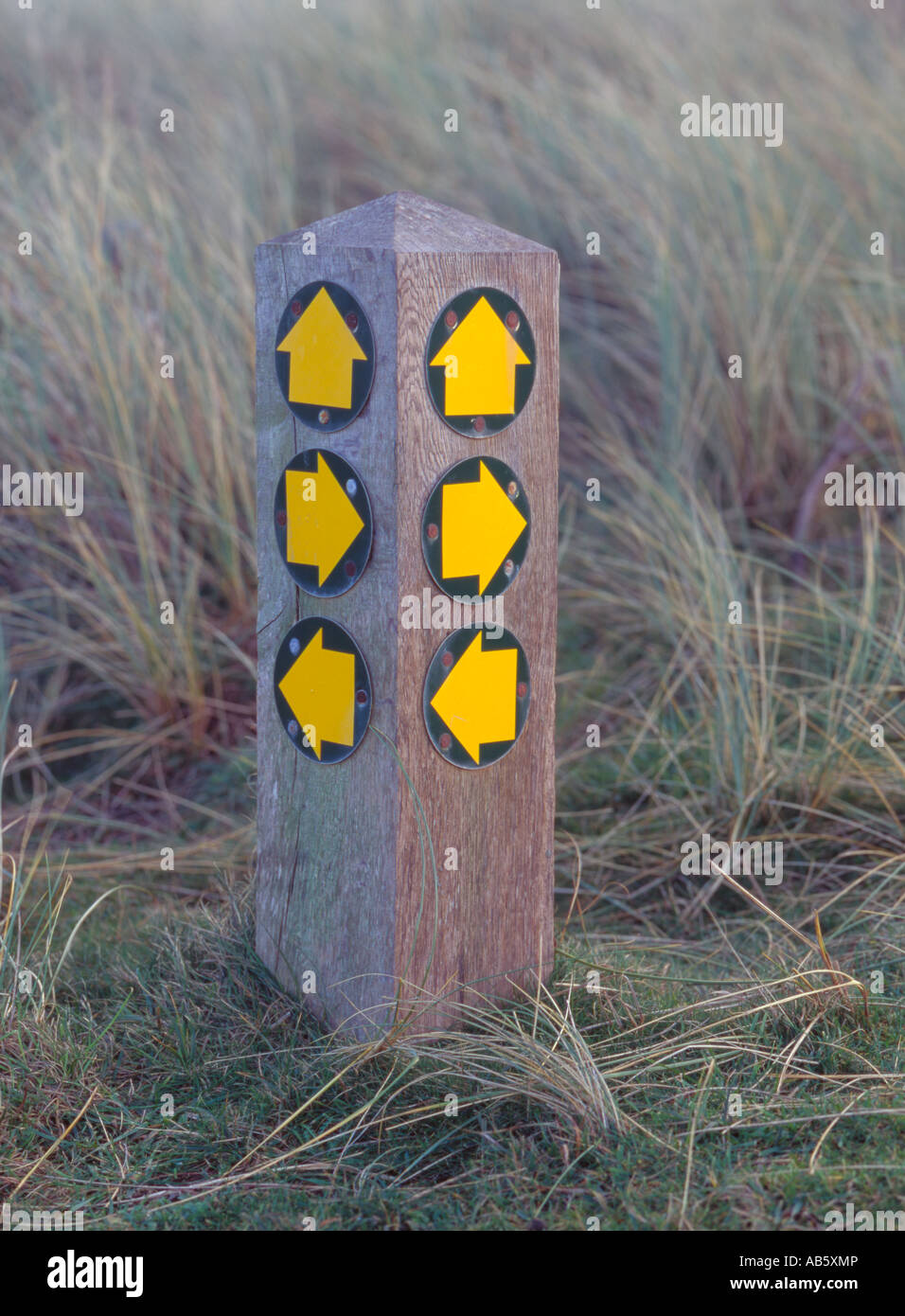 Plethora of foot path signs, Anglesey, North Wales, UK Stock Photo - Alamy