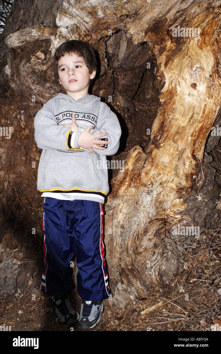 The boy in the tree hi-res stock photography and images - Alamy