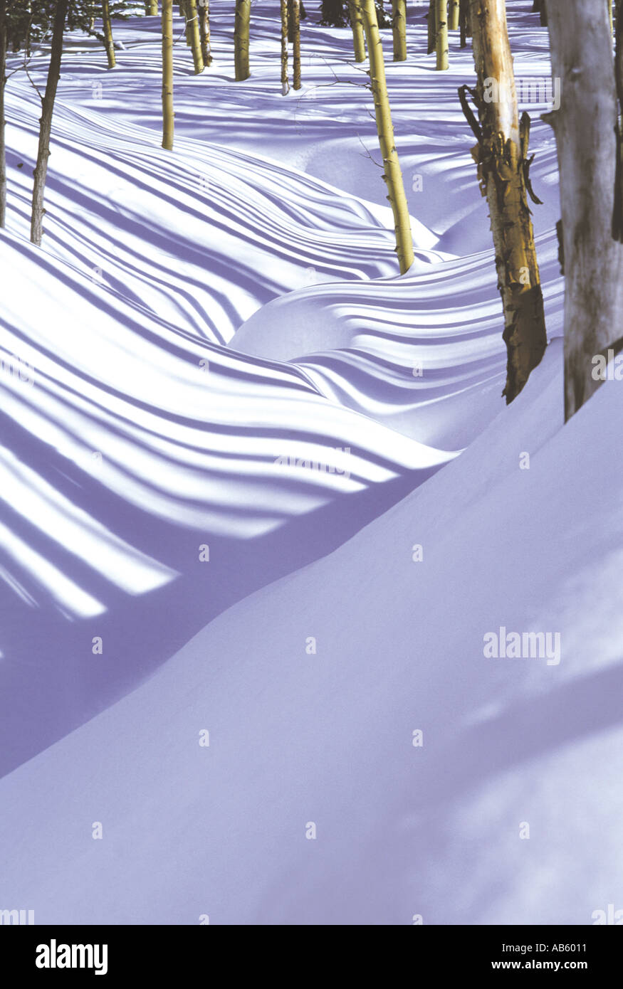 Aspen trees painting hi-res stock photography and images - Alamy