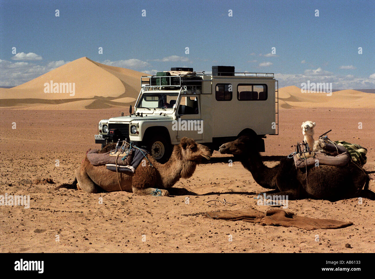 Ships of the Desert Camels and a Land Rover in the Moroccan Sahara ...