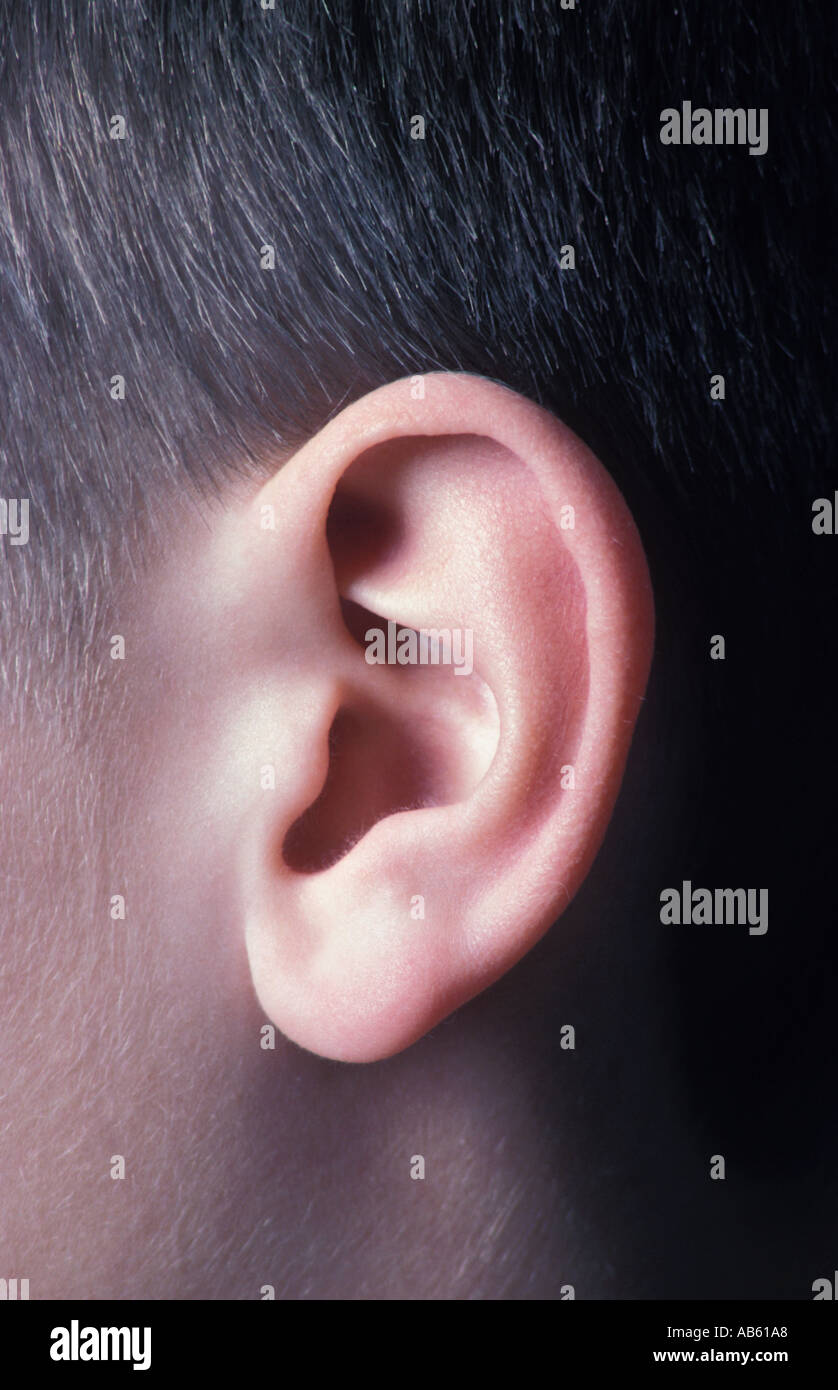 Ear child anatomy hi-res stock photography and images - Alamy