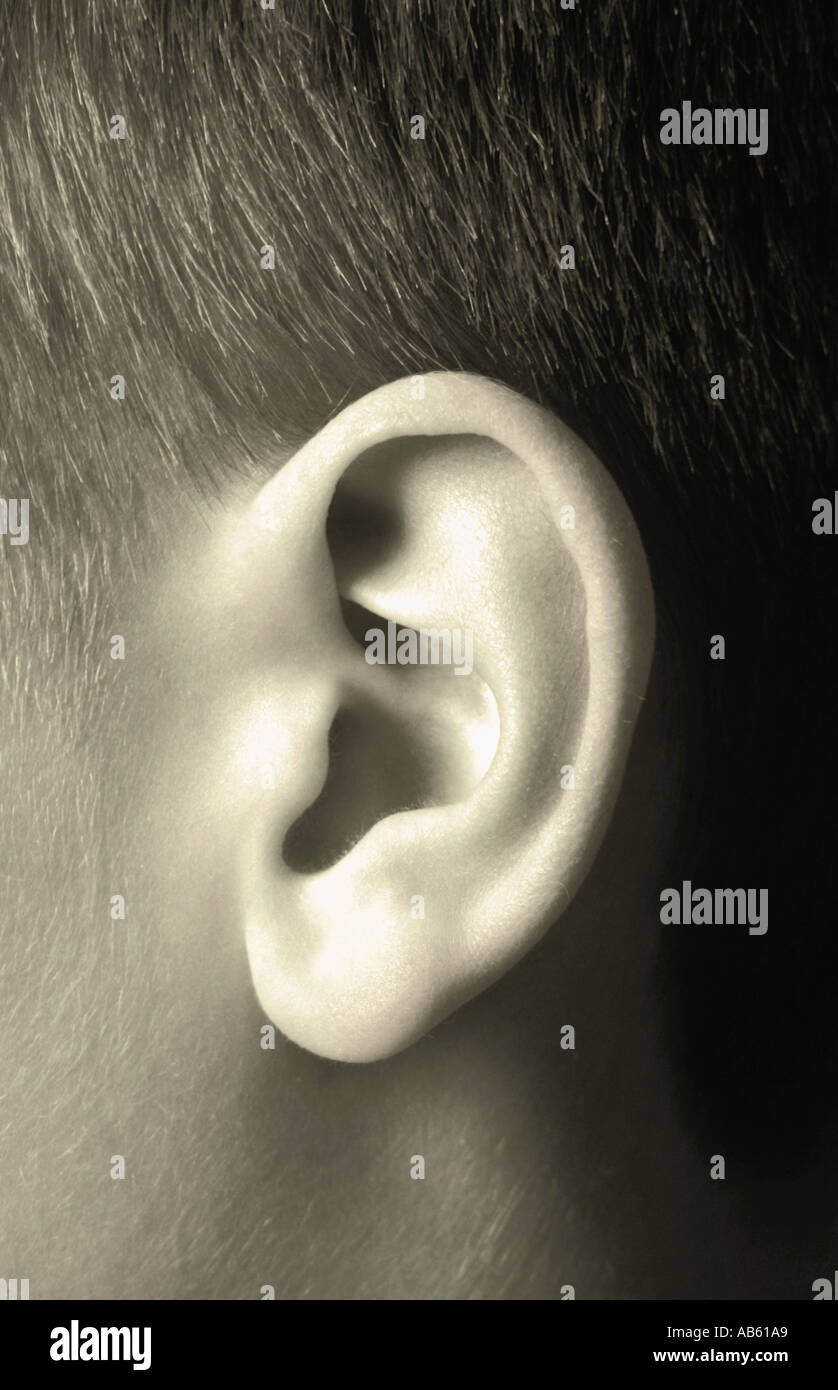 EAR LISTENING SENSE Stock Photo - Alamy