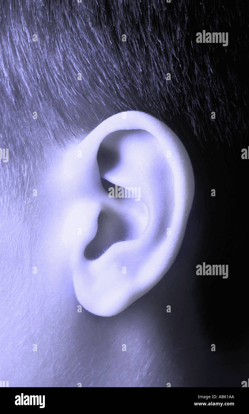 EAR LISTENING SENSE Stock Photo - Alamy
