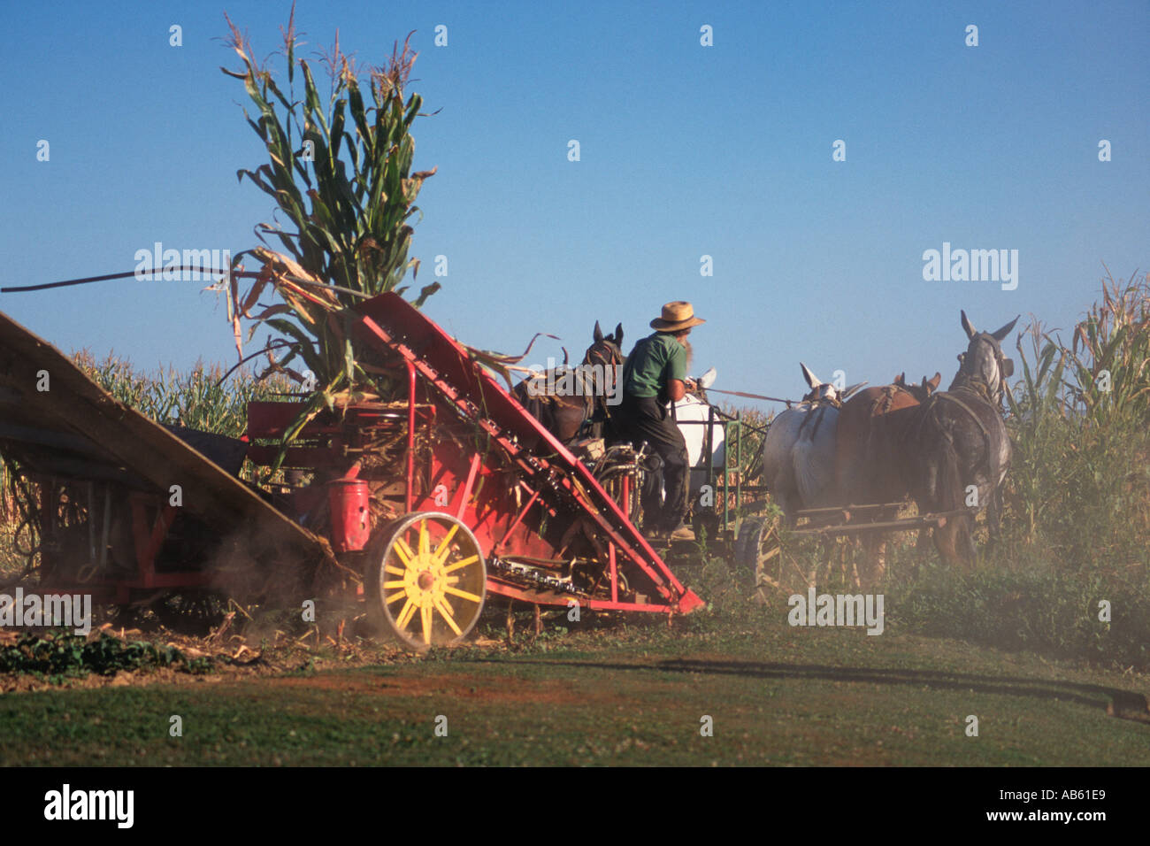 Amish farmers farm people hi-res stock photography and images - Alamy