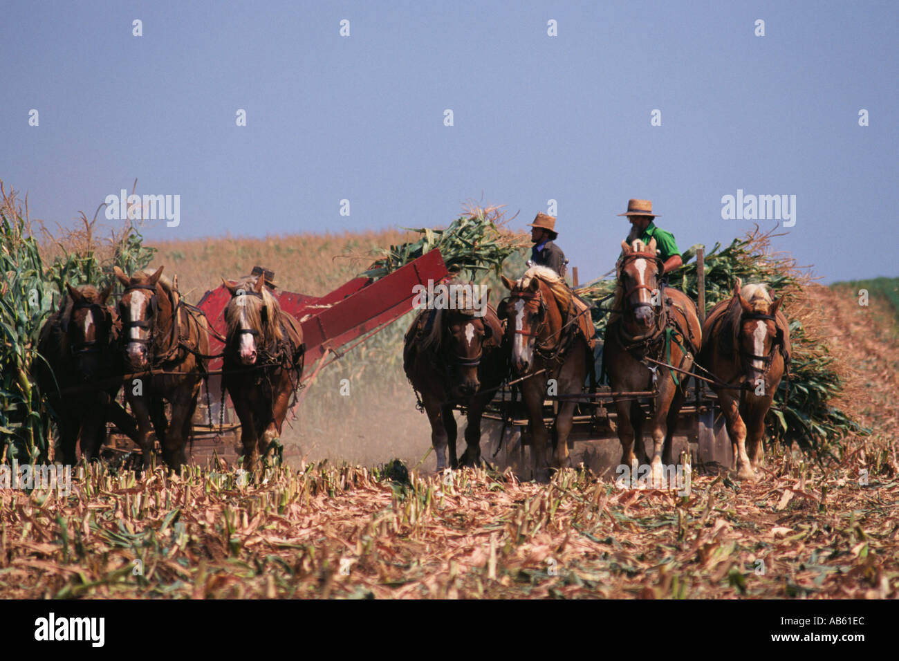 Amish farmers farm people hi-res stock photography and images - Alamy