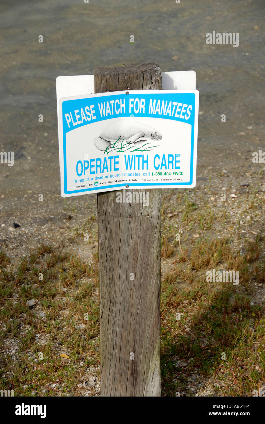 Florida sign to help and protect the endangered species Manatee Stock ...