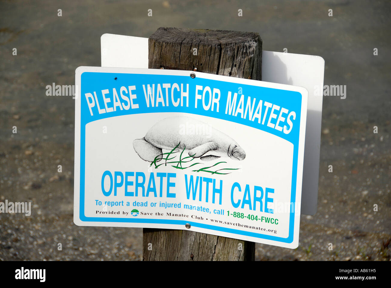 Florida sign to help and protect the endangered species Manatee Stock ...