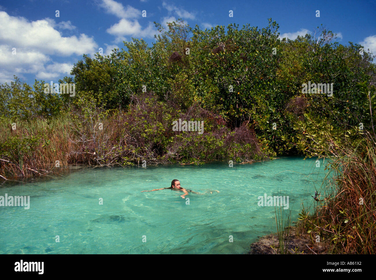 adult woman, swimmer, swimming, mangroves, wetlands, wildlife habitat ...