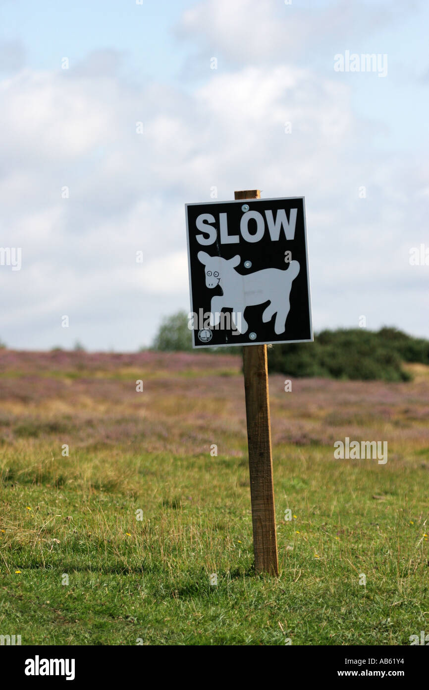 Road sign warning drivers careful hi-res stock photography and images ...