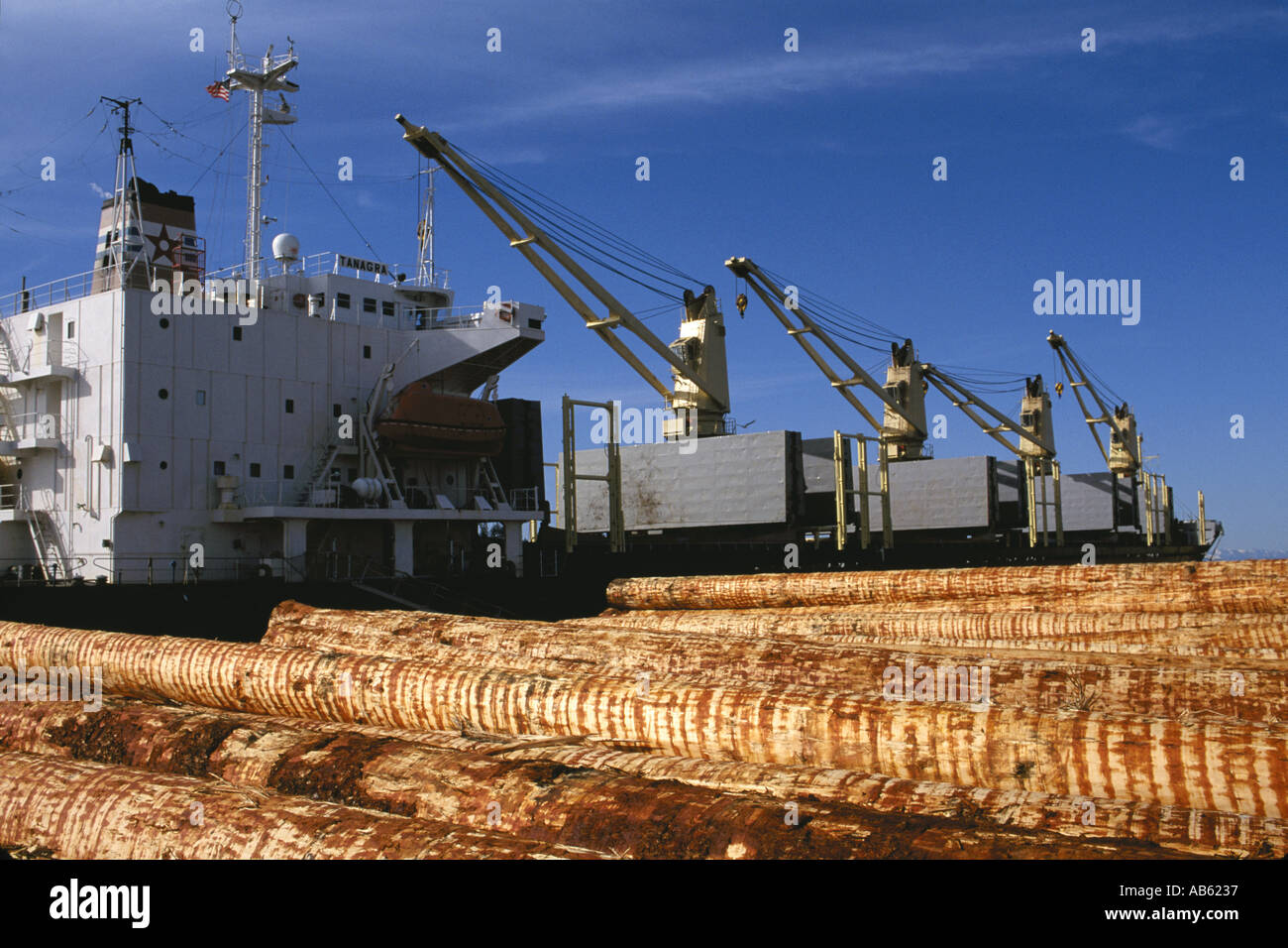 Cargo ship waiting at pier for peeled logs to be loaded for export ...