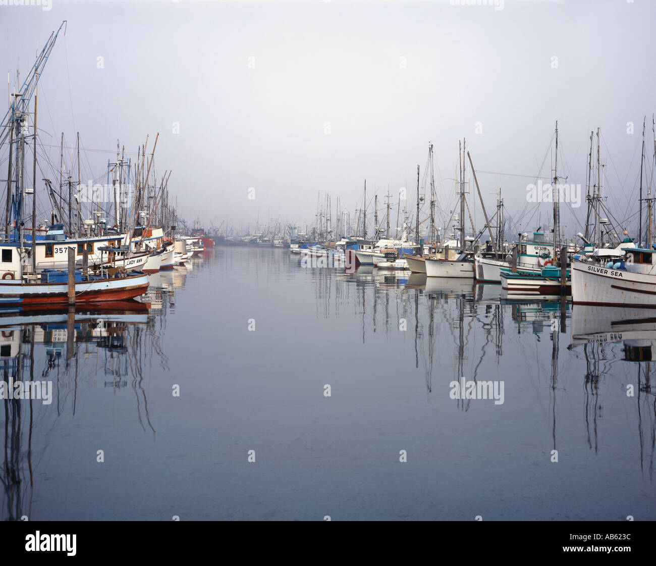 Fisherman's Terminal at Salmon Bay commercial fishing boats in morning ...
