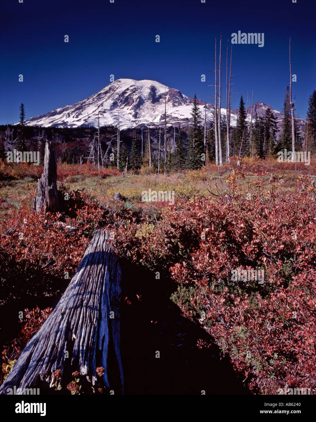 Bench lake mount rainier hi-res stock photography and images - Alamy