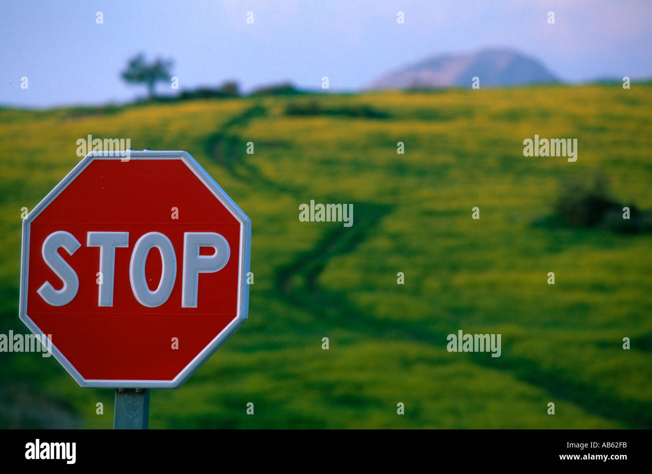 Road tracks on grass with tree and mountain with road sign Stock Photo ...