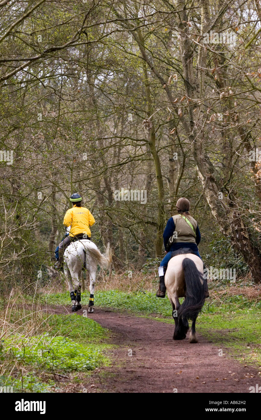 Two people enjoying an outdoor activity, riding horses along a path in ...