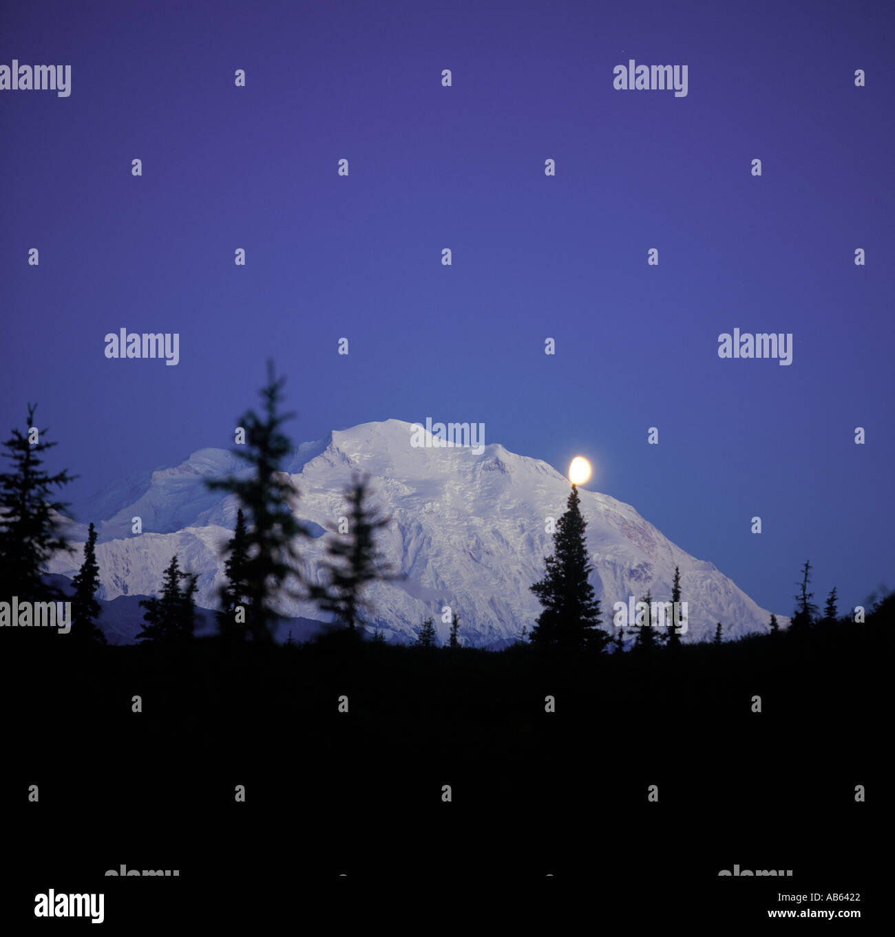 Mount Denali at Night Stock Photo - Alamy