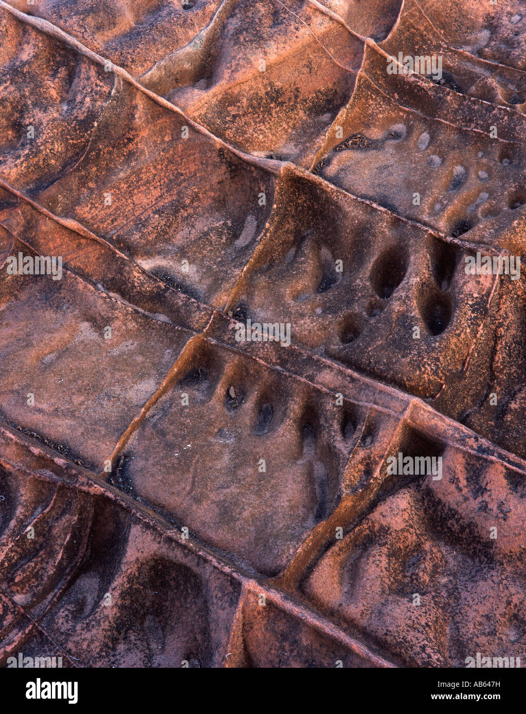 Shore detail, Pirates Cove, Corrie, Arran Stock Photo - Alamy