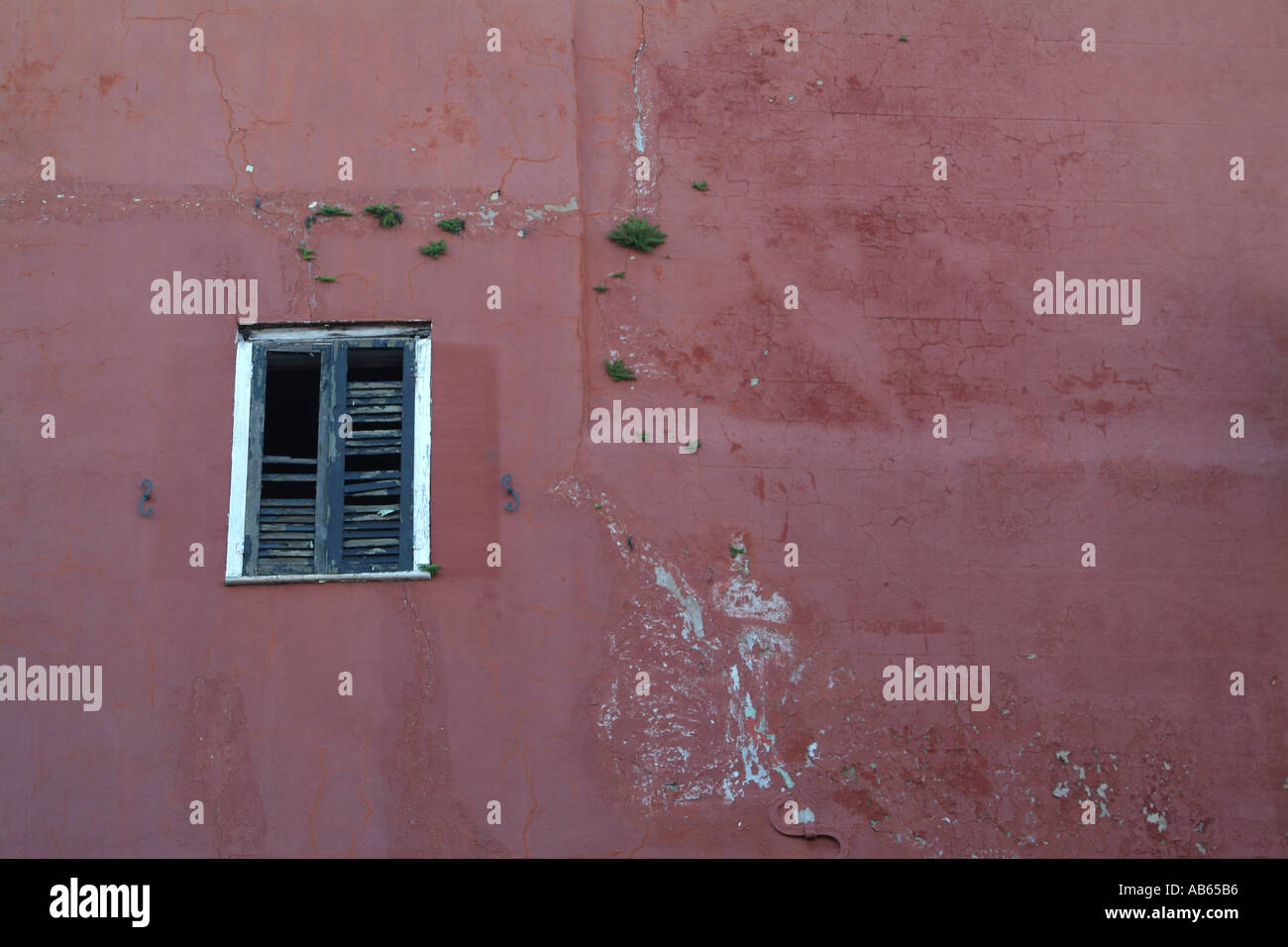 Old Window with Ferns New Orleans Stock Photo - Alamy