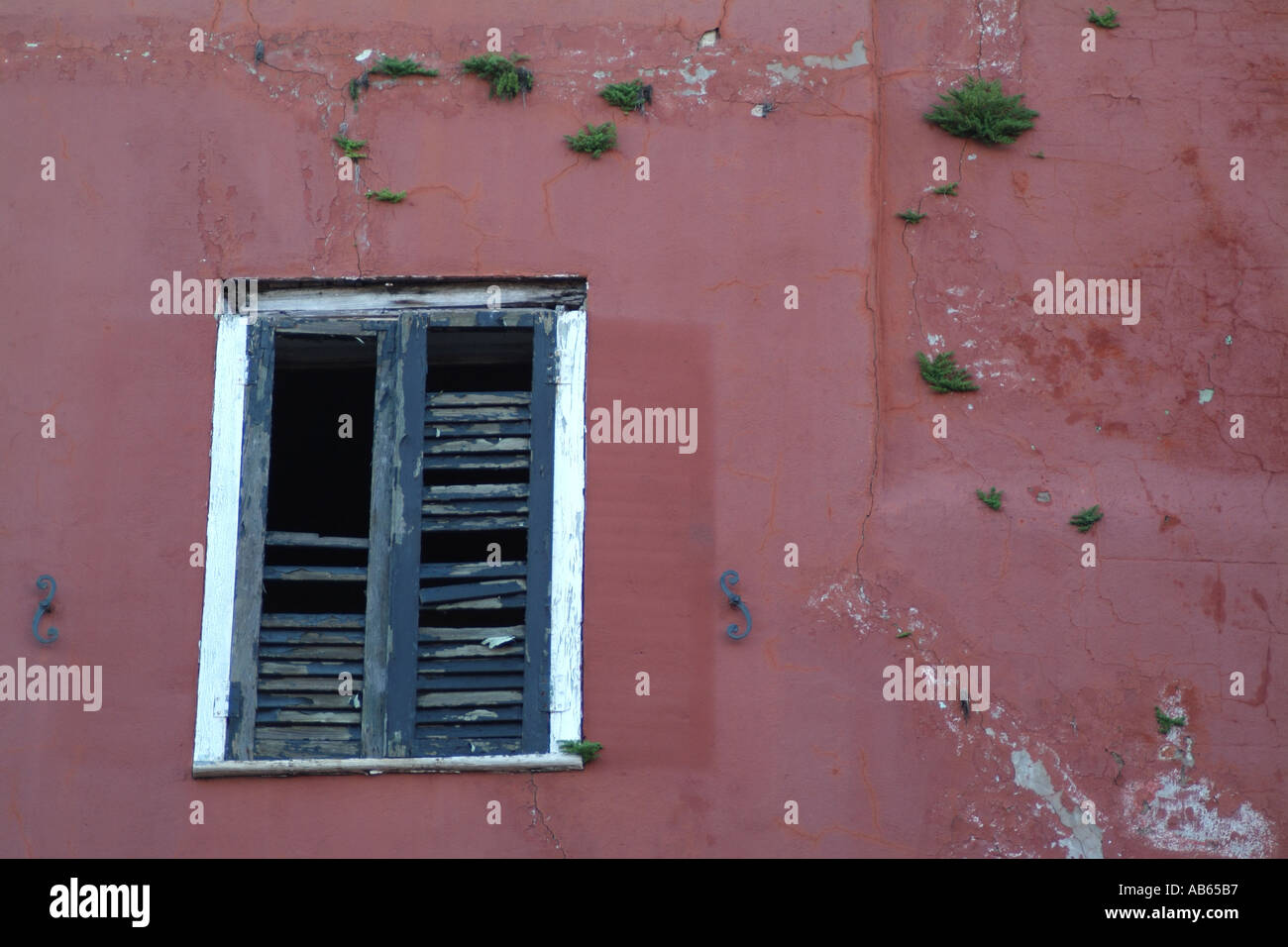 Old Window with Ferns New Orleans Stock Photo - Alamy