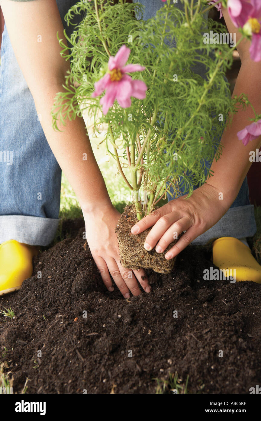 Women placing flowers hi-res stock photography and images - Alamy