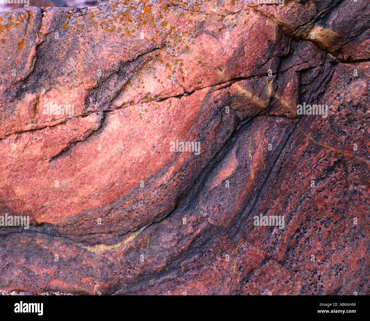 Colour on a pink granite boulder, Iona, Argyll Stock Photo - Alamy