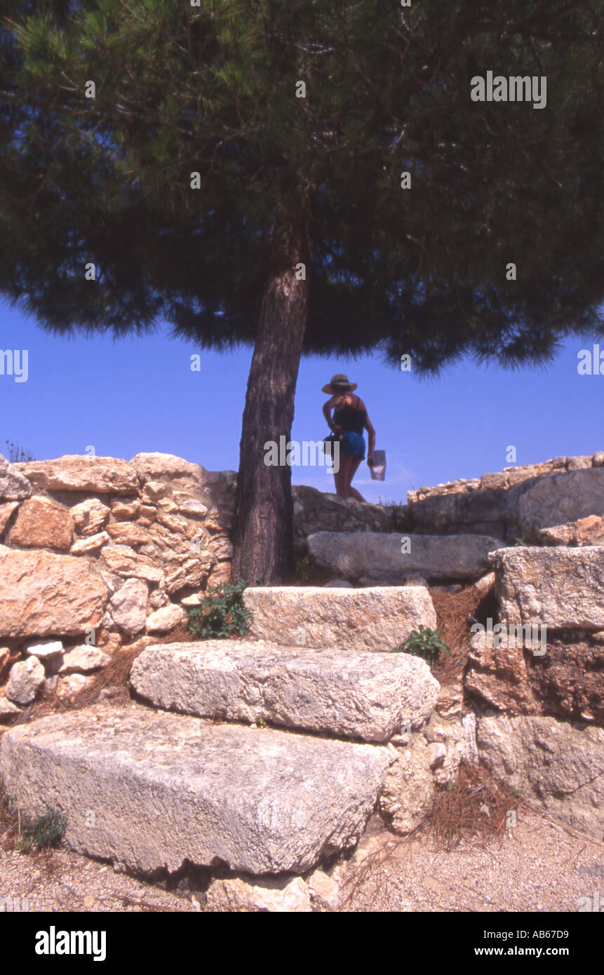 Lone cyprus tree hi-res stock photography and images - Alamy
