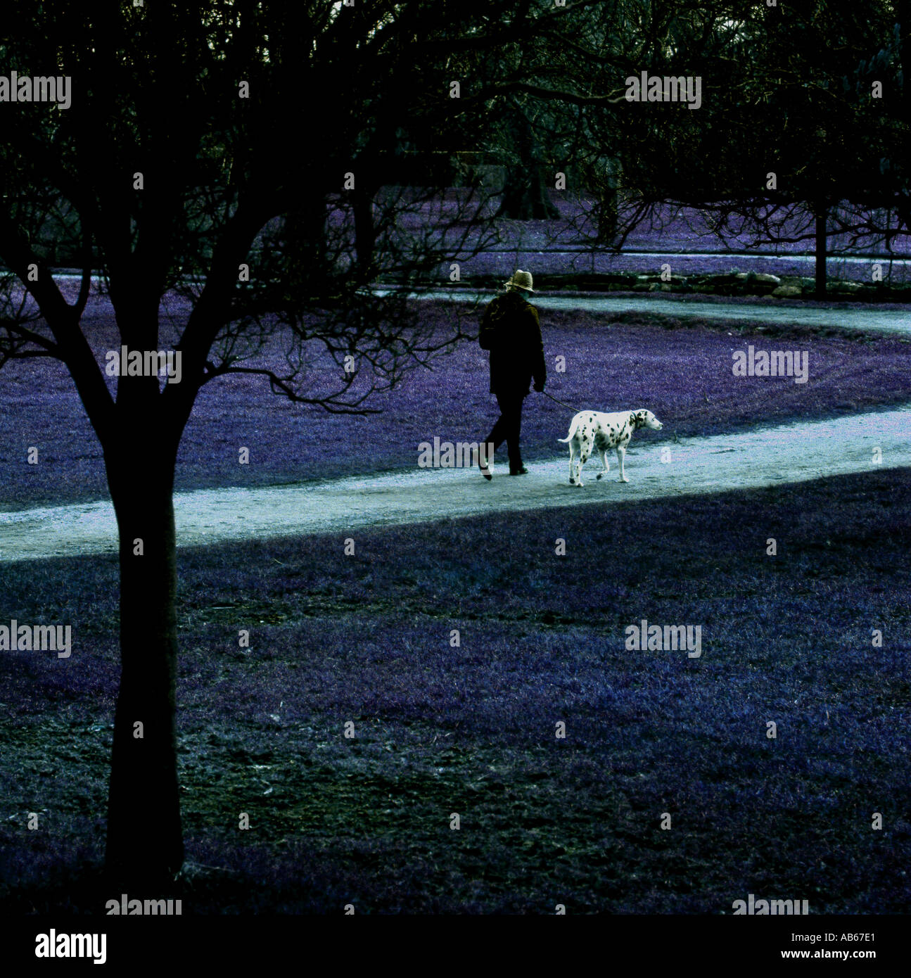 Dog following man hi-res stock photography and images - Alamy