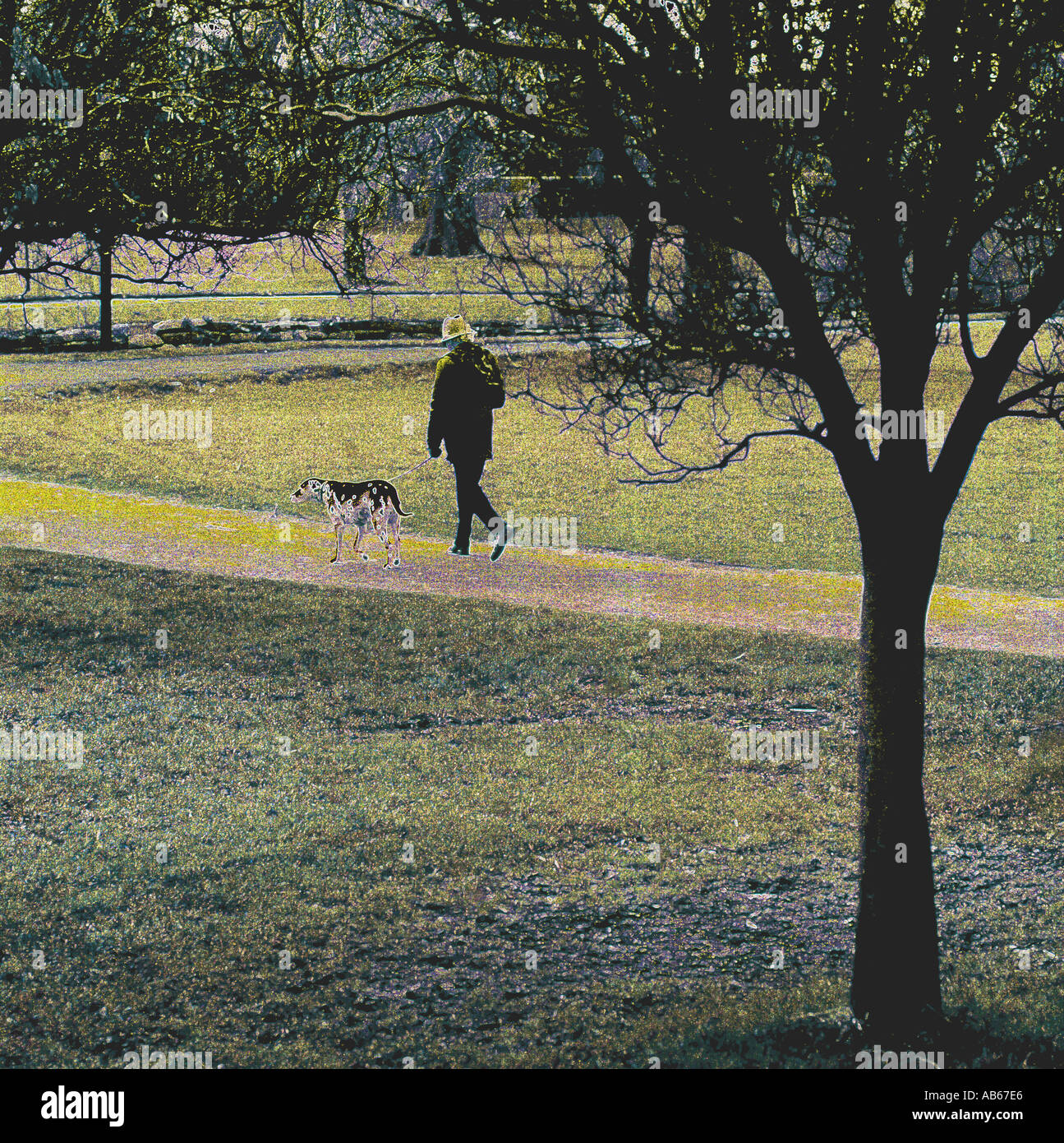 Dog following man hi-res stock photography and images - Alamy