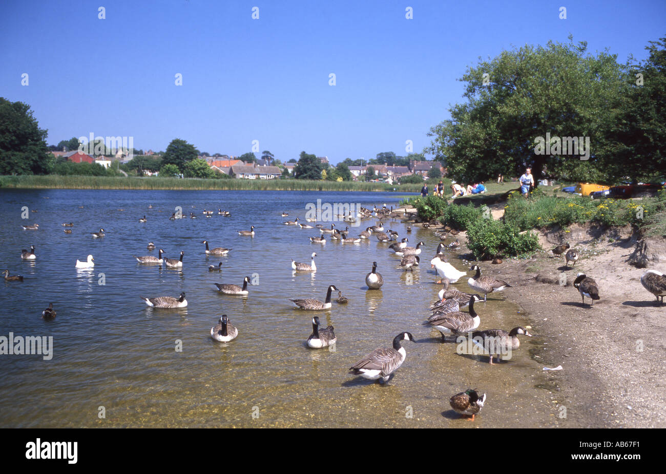 Hornsea mere hi-res stock photography and images - Alamy
