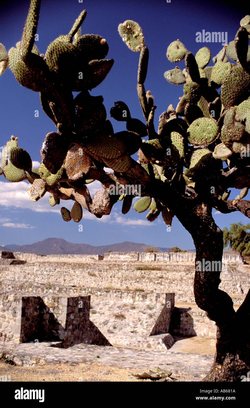 Mixtec architecture hi-res stock photography and images - Alamy