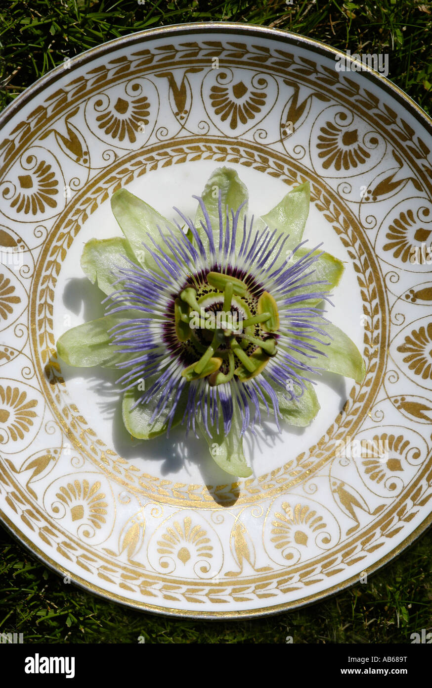 Flower pattern plate hi-res stock photography and images - Alamy