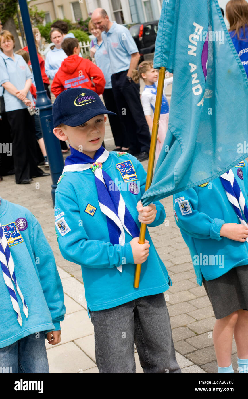 Boy Scout Flag Parage