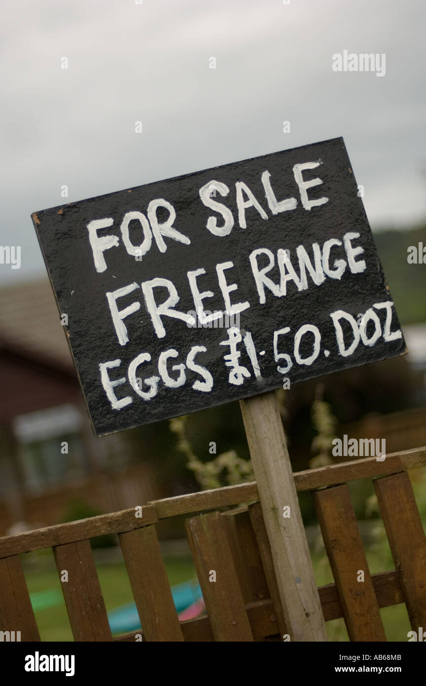Free range eggs for sale sign UK £1.50 a dozen, Wales UK Stock Photo ...