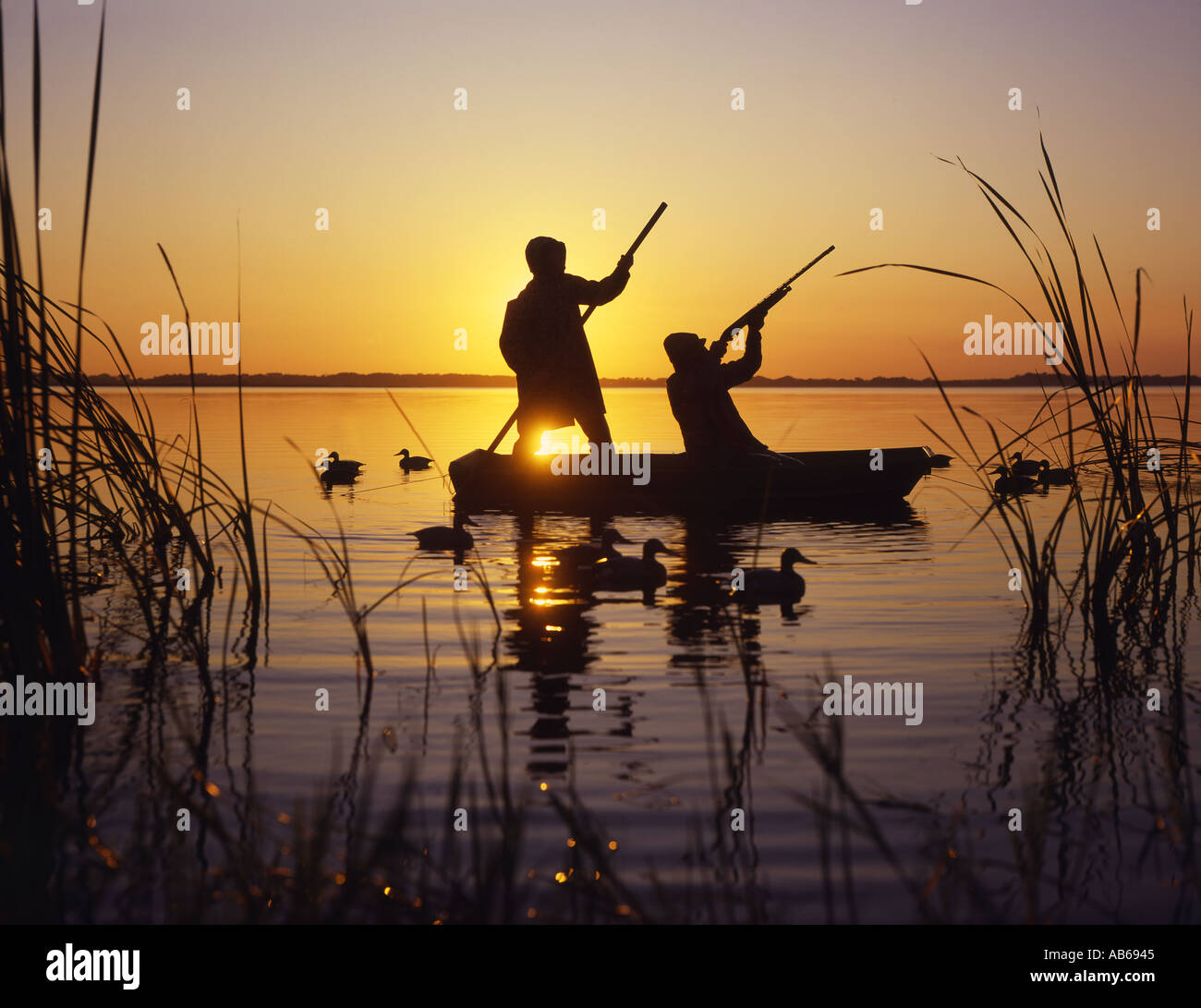 Men duck hunting hi-res stock photography and images - Alamy