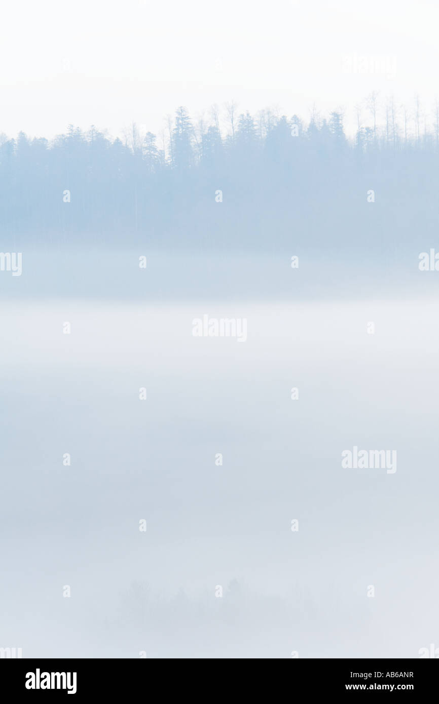 Low contrast distant forest atop dense fog Stock Photo - Alamy