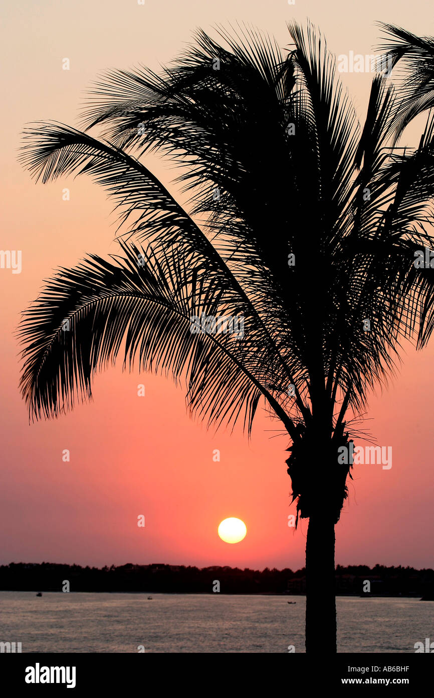 Tropical sunset palm tree hi-res stock photography and images - Alamy