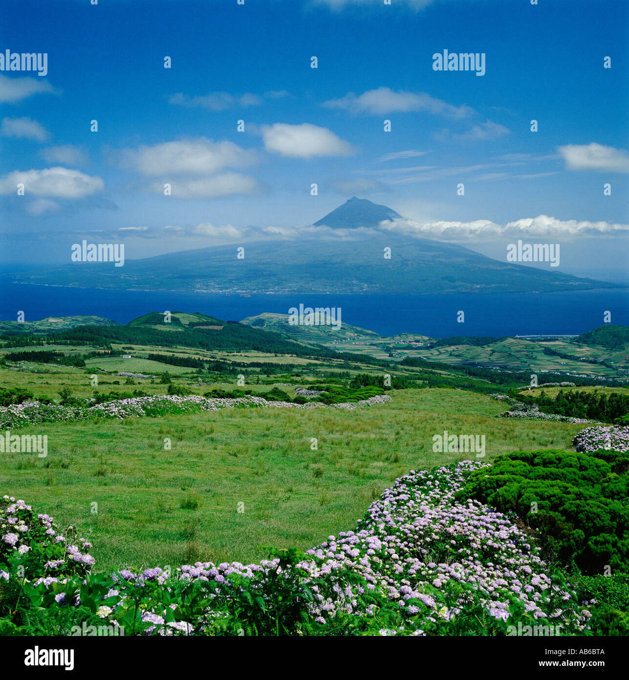 Portugal the Azores Pico island seen from Horta island over fields and ...