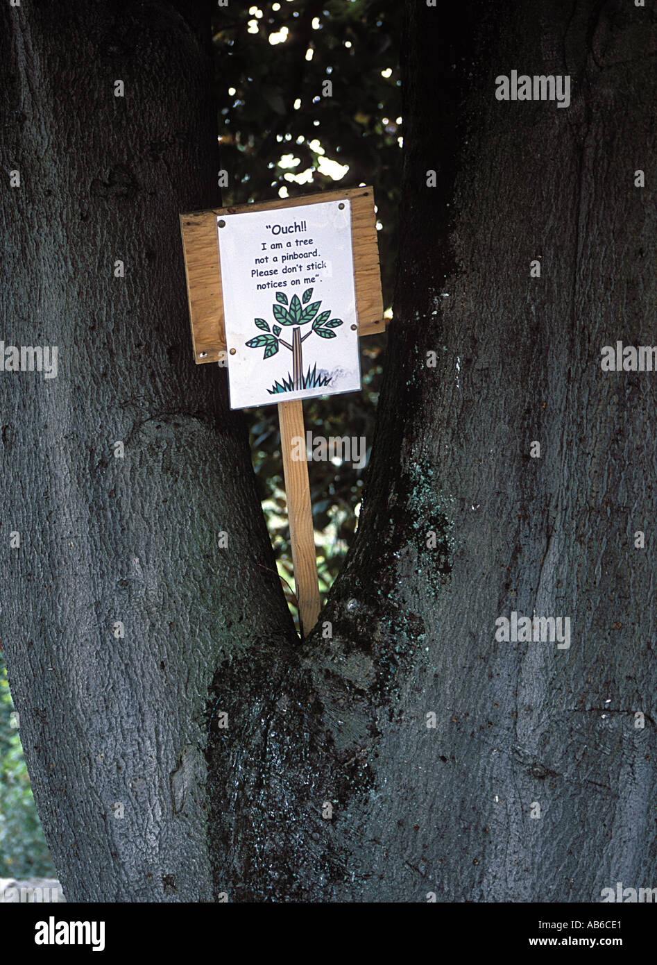 Sign saying Ouch I am a tree not a pinboard please do not pin signs on ...