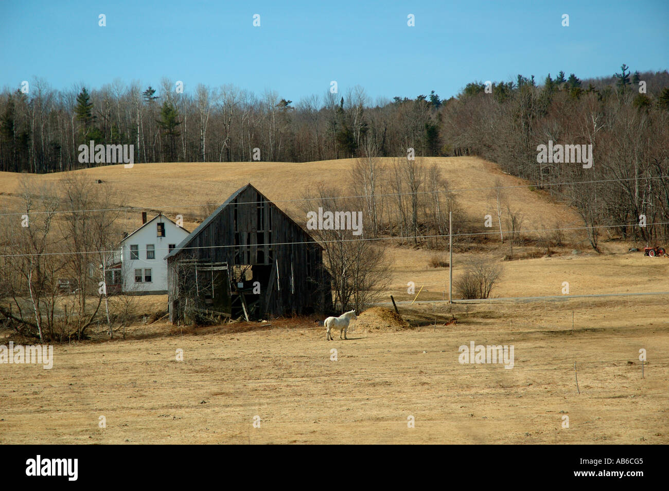 Barn and house with horse in field rural Vermont Stock Photo - Alamy